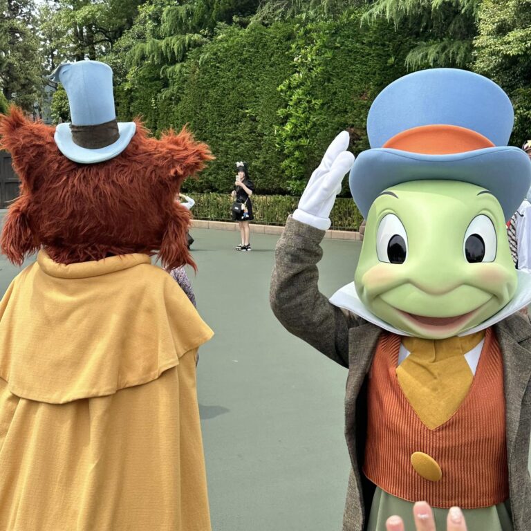 What is Disney Premier Access tickets and and how to use it?